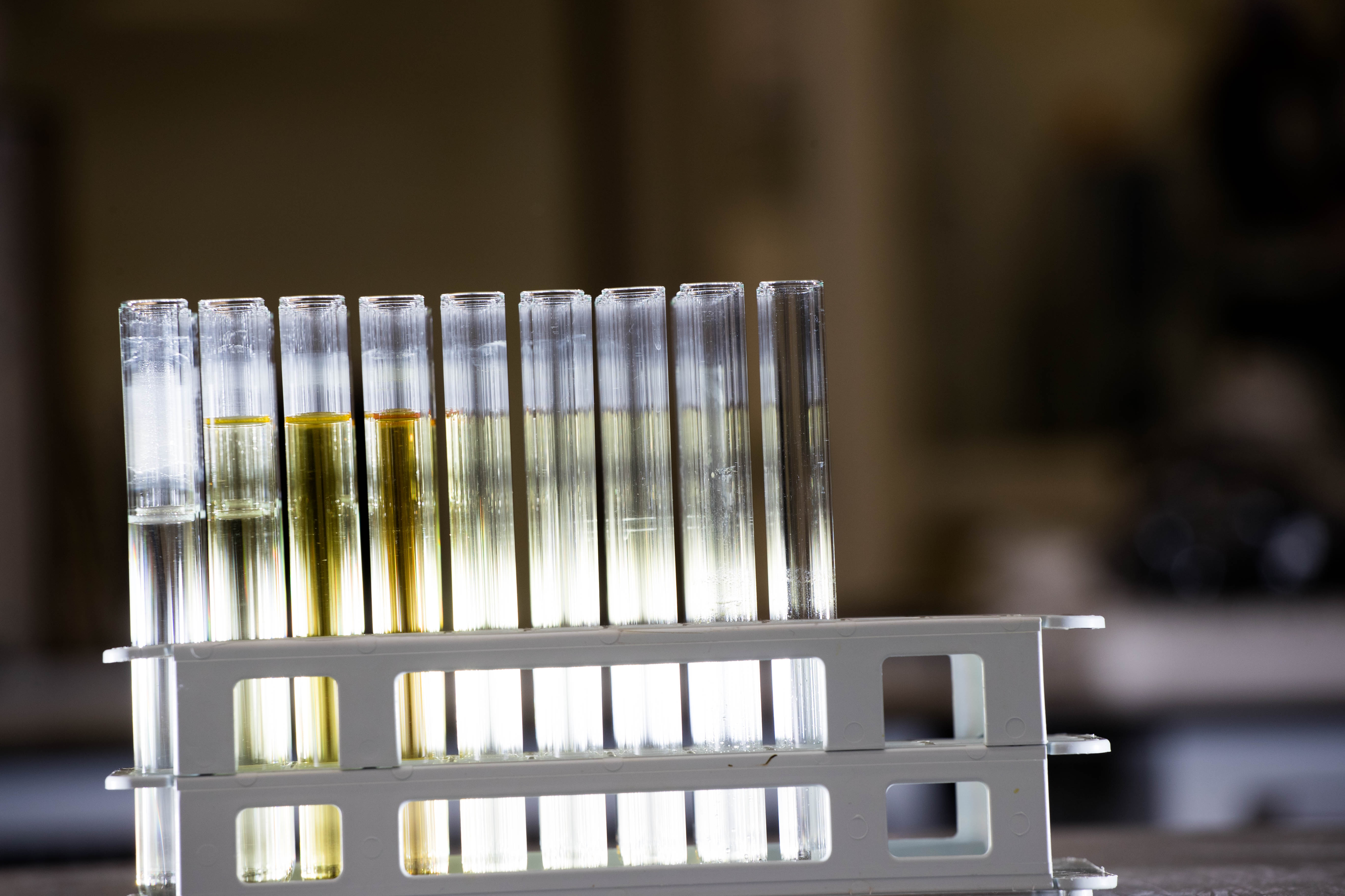 Infex Therapeutics – Vital new drugs for pandemic infections