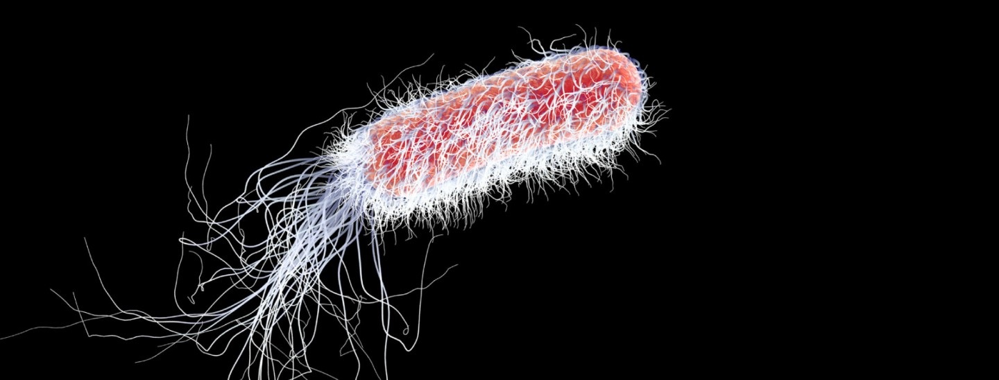 Infex Therapeutics – Vital new drugs for pandemic infections